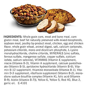 Purina Dog Chow Complete With Real Chicken Adult Dry Dog Food - 18.5 Lb. Bag