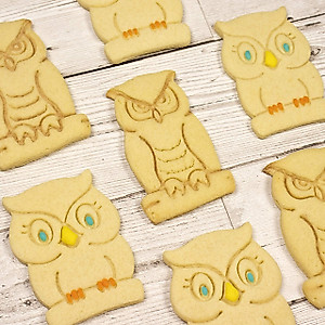 Set of 2 Owl cookie cutters (Designs: Great Horned Owl and Cute Owl), 2 pieces - Bakerlogy