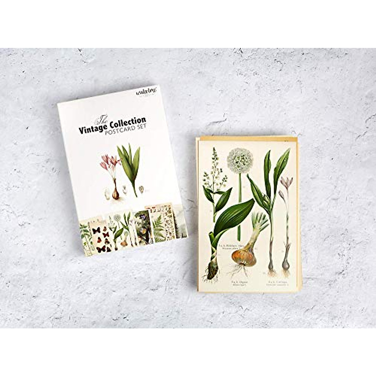Vintage Collection Postcard Set: Pack of 30 Retro Style Botanical, Nature and Ephemera Postcards by Wintertime Crafts