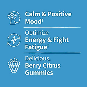 Garden of Life Stress Relief Gummies, Non-GMO Supplement for Calm & Positive Mood - Berry Citrus - 60 Count, Vegan Energy Support with L-Theanine Lavender Gummy Vitamin, Dr Formulated (30 Day Supply)