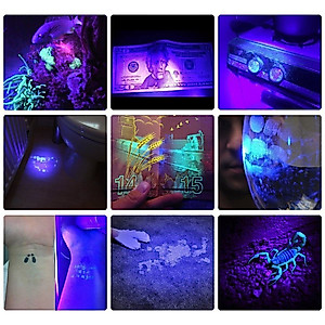 Alonefire SV18 12W 365nm UV Flashlight USB Rechargeable Ultraviolet Blacklight Pet Urine Detector for Resin Curing, Fishing, Minerals, Scorpion with UV Protective Glasses, Battery Included