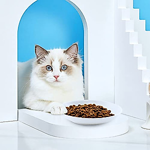 Peppapet Ceramic Cat Food Plates: Cat Wet Food Bowls/Whisker Fatigue Cat Dishes & Shallow Bowls for Kittens and Small Animals