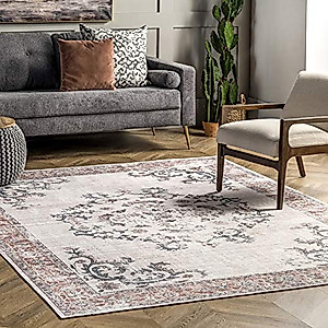 nuLOOM Layna Machine Washable Distressed Vintage Area Rug, 4' x 6', Light Grey