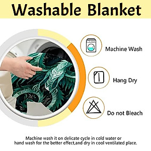 Dragon Blanket Gift for Woman Man Girls Boys Greens Dragon Gift for Dragon Lovers Soft Flannel Blanket for Living Room Sofa Couch Decor - 40"x50" for Kids/Children