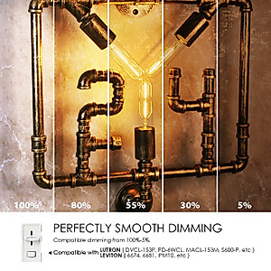 LVWIT T10 Dimmble LED Tubular Bulb 7.7W(60W Equivalent) Vintage Edison LED Filament Lights E26 Medium Base 2700K Warm White, 800LM,Clear Glass Cover,4-Pack