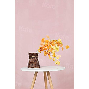 Kate 6ft×9ft Solid Light Pink Backdrop Portrait Photography Background for Photography Studio Children and Headshots Light Pink Backdrop Background for Photography Photo Booth