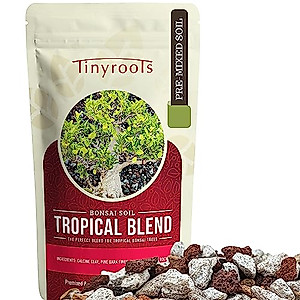 Tropical Bonsai Soil by Tinyroots - 100% Organic + Fast Draining Pre-Mixed Bonsai Potting Soil Mix, Perfect for Healthy Cacti and Bonsai Growth, 2.5 Quarts