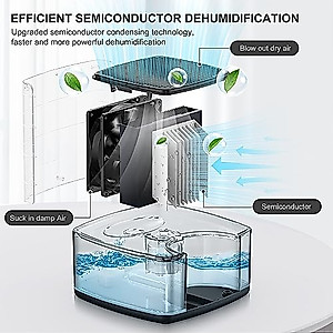 ToLife Dehumidifiers for Home 30 OZ Water Tank with Auto-Off 500 sq.ft Portable Small Dehumidifier for Bathroom Bedroom RV Closet Room 7 Colors LED Light, Black