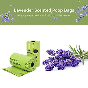 glasho Poop Bags for Dogs (600 Count, 30 Rolls) Lavender Scented Leak Proof Dog Waste Bags, 13 x 9 Inch Strong Doggie Cat Waste Bags with Dispenser, Green/Bulk