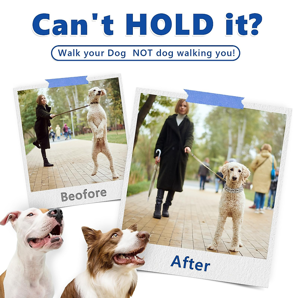 Supet Dog Prong Collar, Adjustable Dog Training Pinch Collar with Quick Release Buckle for Small Medium Large Dogs(Packed with One Extra Links)