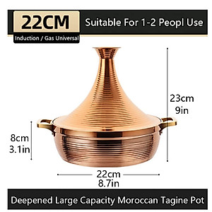 22cm Stainless Steel Tagine Pot Moroccan Tajine Cooking Cookware with Cone-Shaped Closed Lid for Stew Casserole Slow Cooker, 1-2 People Use