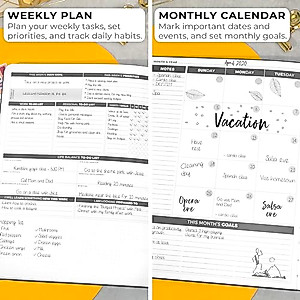 Clever Fox Planner Daily PRO - 8.5 x 11" A4 Size Daily Life Planner and Gratitude Journal to Increase Productivity, Time Management and Hit Your Goals - Undated - Lasts 3 Months (Silver Black)