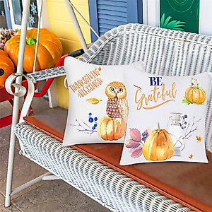 Fall Decor Thanksgiving Pillow Covers 18x18 Set of 4 Autumn Harvest Pumpkin for Sofa Couch,Gifts Fall Decorations for Home Harvest Christmas Thanksgiving Halloween Indoor Outdoor Garden