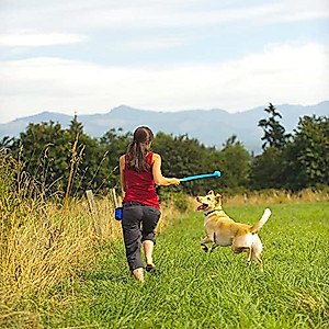 ChuckIt! Junior 18M Dog Ball Launcher, 18" Length, Includes Medium Ball (2.5") For Dogs 20-60 Pounds