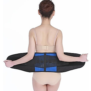 PROHEL Back Brace to Relieve Lower Back Pain with Lumbar Pad Support for Men/Women. Mild, thin, orthopedic, rigid, adjustable herniated disc (Size : L.)