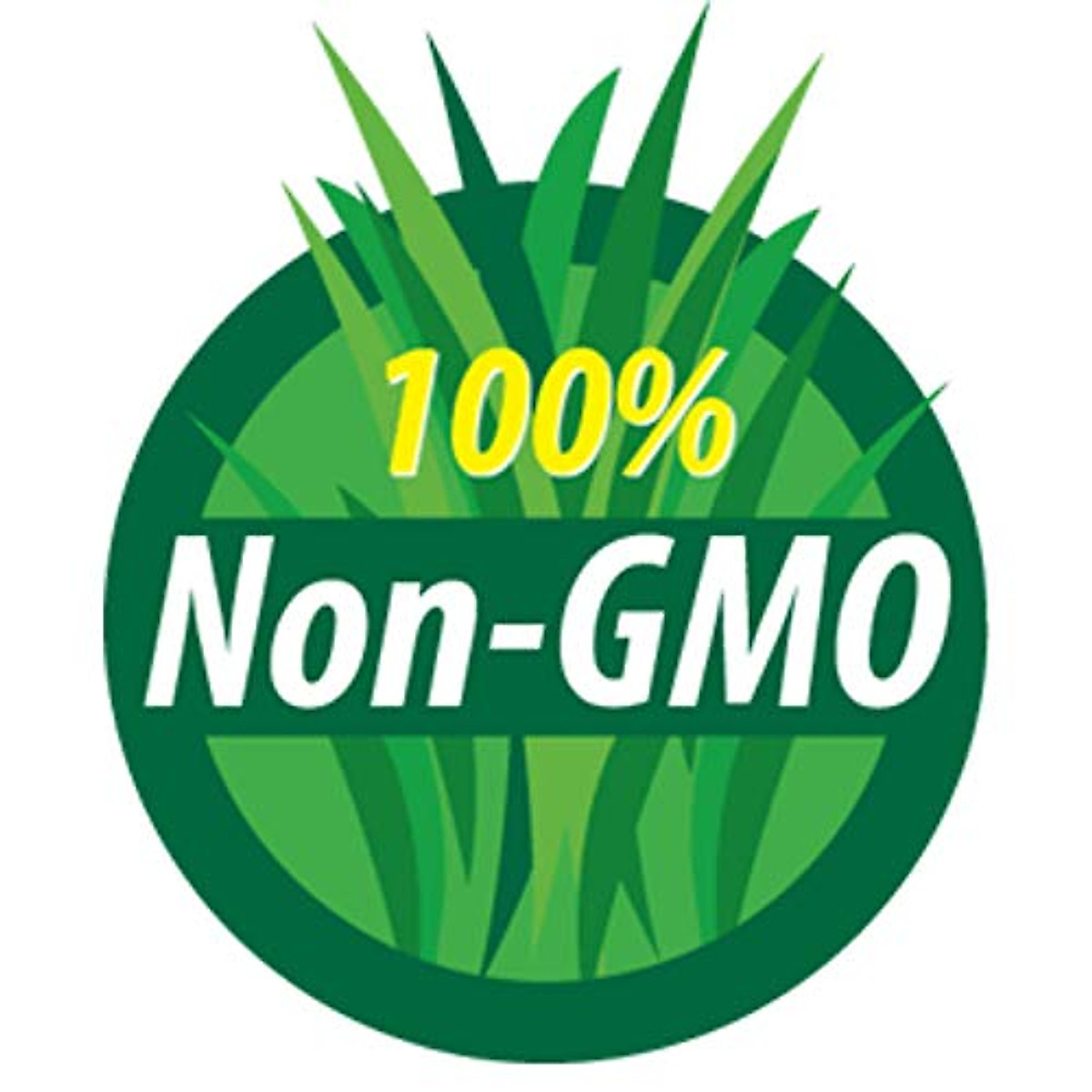 Lemon Grass Seeds for Planting Outdoor - 250 Mg Packet - Non-GMO, Heirloom Culinary Herb Garden Lemongrass Seeds - Cymbopogon citratus