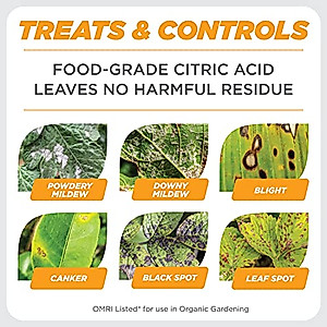 Earth’s Ally Plant Care Bundle – Insecticide and Fungicide Spray