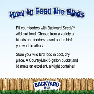 Backyard Seeds White Millet Bird Seed for Finches 8 Pounds (8 Pounds)