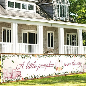 A Little Pumpkin is On the Way Banner, Fall Theme Pumpkin Baby Shower Gender Reveal Birthday Party Decorations Supplies (Pink)