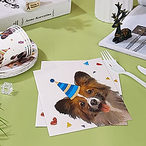 175PCS Dog Themed Birthday Party Supplies Dog Party Plates Cups and Napkins Sets for Puppy Dog Pals Birthday Party Decorations, Serves 25