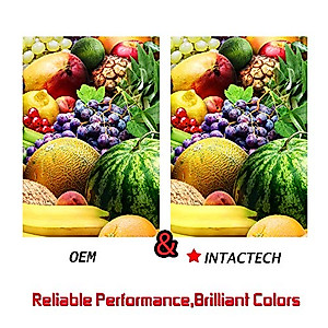 Intactech 2 Black Compatible Ink Cartridges Replacement for Brother LC3037 LC3037XXL LC3037BK High Yield Ink Tank Work for Printer MFC-J5845DW MFC-J5845DW XL MFC-J5945DW MFC-J6545DW MFC-J6945DW