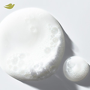 Dove Shampoo and Conditioner 2 Count for Damaged Hair Intensive Repair Bio-Protein Care Technology and Amino Serum 12 Fl Oz