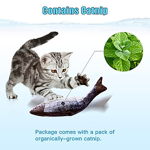 TOOGE 2 Pack 11" Floppy Fish Cat Toys with SilverVine and Catnip for Indoor Cats Interactive Flopping Fish Cat Kicker Catnip Toys for Cats Puppy Small Dogs