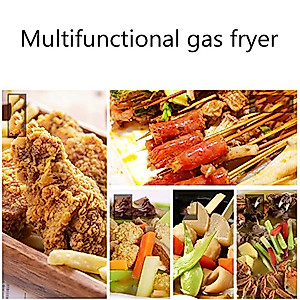 Commercial Gas Deep Fryer,10L Stainless Steel Large Capacity Fryers Restaurant Adjustable Firepower with Basket & Lid Air Fryer for Home and Commercial,C Set