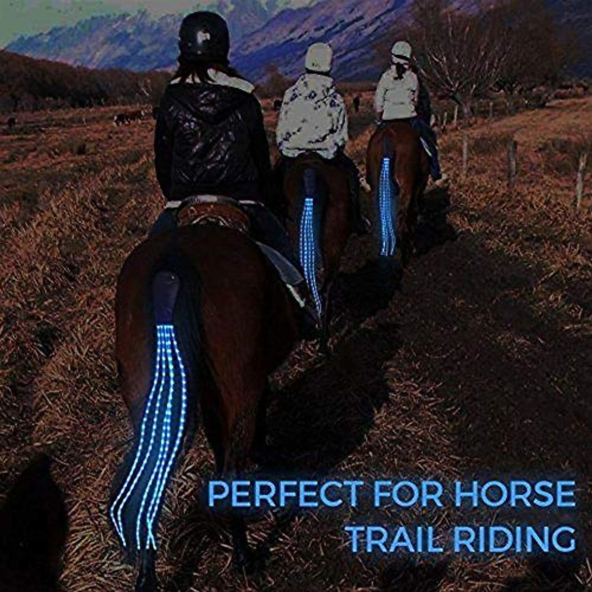 HABADOG 55cm/100cm Horse Tail USB Light Chargeable LED Crupper Horse Harness Equestrian Horse Riding Cheval Equitation (Color : 100cm Blue)