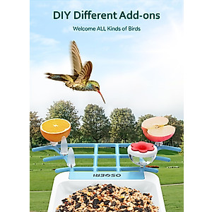 Osoeri Smart Bird Feeder with Camera, 1080P HD AI Identify Wild Bird Watching Camera, Auto Capture Bird Videos Motion Detection, DIY Addons Hummingbird Feeder, Bird Feeder Camera Gift for Bird Lover