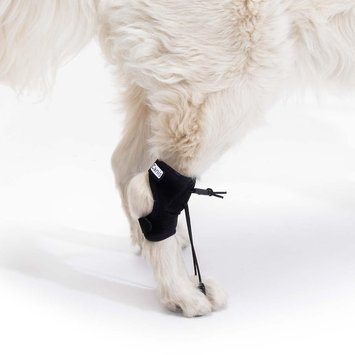 Ortocanis - Proprioceptive Corrector for Dogs with Sciatic Nerve Injuries. Myelopathy and Spinal Injuries. Size M