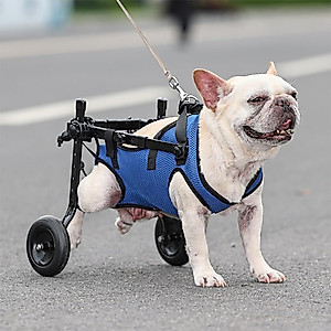 OTRUZPV Small Dog Wheelchair for Back Legs, Adjustable Dog Wheelchairs,Mobility Aids for Disabled Pets, Dog Leg Brace and Hip Support,Mobility Aids for Disabled Pets (XS)