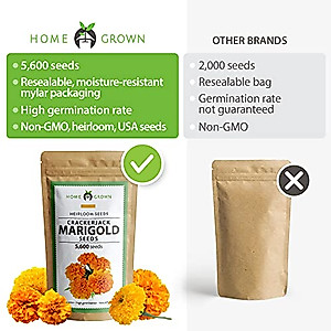 Marigold Seeds Bulk Mix - 5600+ Crackerjack Marigold Flower Seeds for Planting Outdoors - Flowers Seed for Companion Planting - Wildflower African Marigold Seeds (Tagetes erecta)