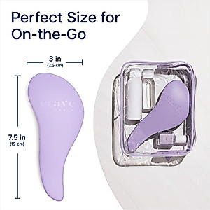 Crave Naturals Glide Thru Detangling Hair Brush for Adults & Kids Hair - Detangler Brush for Natural, Curly, Straight, Wet or Dry Hair - Hairbrush for Men & Women - 1 Pack - Purple