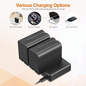NP-F970 Battery (2-Pack,8800mAh) and Dual USB Charger for Sony NPF970 F75 0F550 F570 F980 F330,Sony Handycams, Sony CCD-SC55,TR516, TR716, TR818, TR910, TR917