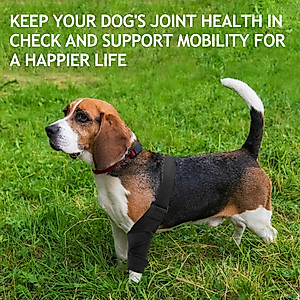 TONTONJIA Dog Knee Brace for Torn Acl Hind Leg Adjustable Dog Back Leg Support Brace, Dog Leg Brace for Hip Dysplasia, Better Recovery with Dog ACL Knee Brace (Medium)