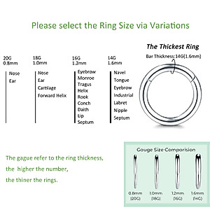 Xpircn 5PCS 16G Stainless Steel Nose Rings Hoop Hinged Segment Septum Clicker Daith Tragus Helix Cartilage Earrings Piercing for Women Men (Mixed Color, 16g 8mm, 5PCS)