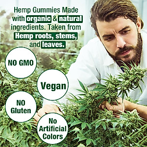 HEMOMAC 2 Packs Natural Hemp Gummies High Potency Pure Hemp Oil Advanced - Extra Strength Organic Hemp Grown in USA, Vegan, Non-GMO, Edibles for Adults