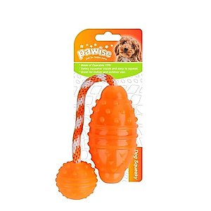 PAWISE Play & Chew Rugby Pelota Toy