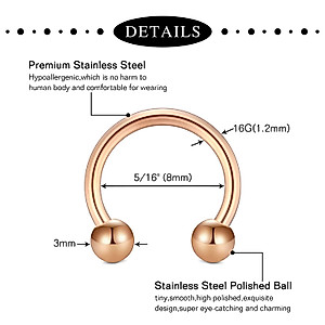 Anicina Pretty Nose Rings 16G Stainless Steel Nose Hoops Cubic Zirconia Septum Clicker Ear Tragus Helix Conch Earring Body Piercing Jewelry