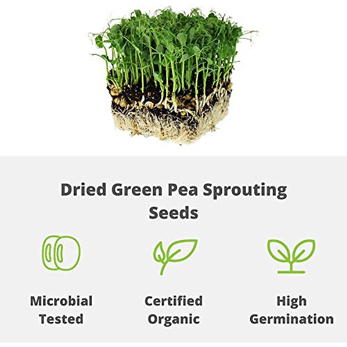 Certified Organic Dried Green Pea Sprouting Seed - 2.5 Lb - Handy Pantry Brand - Green Pea for Sprouts, Garden Planting, Cooking, Soup, Emergency Food Storage, Vegetable Gardening