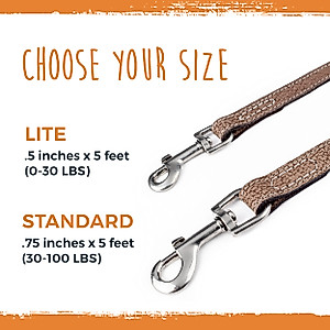 Mighty Paw Leather Dog Leash - Genuine Material - Premium Leash - Suitable for All Pet Sizes - Dog Show Lead Thin - Distressed Genuine Leather Leash - 5 ft Heavy Duty Dog Leash - (Light Brown)