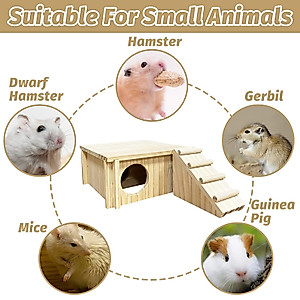 Hamster Wooden House with Ladder Small Animal Hideout Activity Platform Exercise Climbing Hut Natural Living Wood Room for Hamster Gerbil Mice Rat.