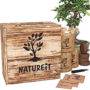 Natureit Bonsai Seed Starter Kit - Unique Wooden Growing Kit. Everything Needed to Grow 4 Types of Bonsai Trees from Seeds. Indoor/Outdoor Gardening Gift Ideas for Plant Lovers. DIY Kits for Adults.