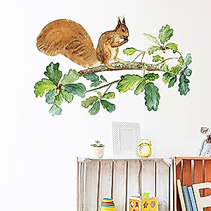 HUANLE 4 Pack Cartoon Squirrel Animal 3D Vinyl Wall Decal Realistic Green Branch Squirrel Playing Art Murals Removable Animal Wall Stickers for Teen Girls Kids Bedroom Bathroom Home Cabinet Decor