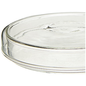 Pyrex 3160-101 Brand 3160 Petri Dish; 100 x 15 mm, Pack of 12,3455103