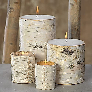 Zodax | Light Birchwood | Pillar Candle | Fragrance Free | 4 in x 6 in