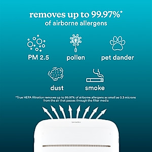 Homedics Smart Air Purifier, 4-in-1 Console for Extra-Large Rooms, True HEPA Filtration, UV-C Technology Reduces Bacteria & Virus, Wi-Fi, Voice Control