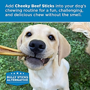 Best Bully Sticks Cheeky Beef Chews - Single Ingredient, 100% Grass-Fed Beef - USA Packed - Long-Lasting, Odor Free Alternative to Bully Sticks, 6" Chews - 20 Pack