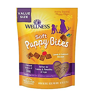 Wellness Soft Puppy Bites Natural Grain-Free Treats for Training, Dog Treats with Real Meat and DHA, No Artificial Flavors (Lamb & Salmon, 8-Ounce Bag)
